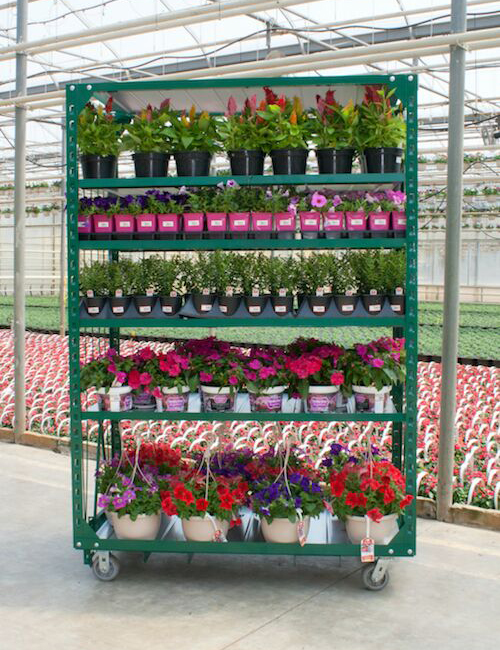 Green Growing Rack - American Grower Resource